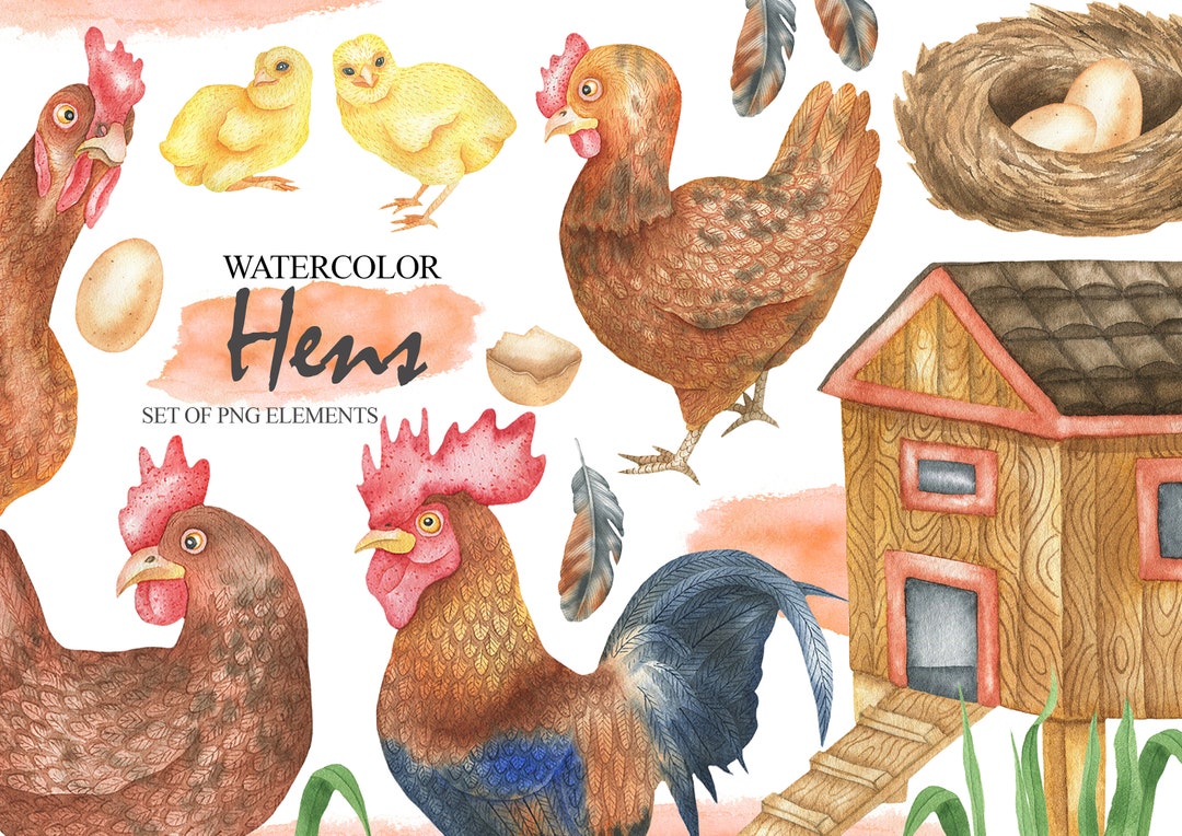 Watercolor Hens and Chickens Clipart, Farm Animals Clipart, Rooster ...