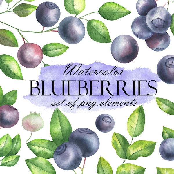 Watercolor Blueberries Clipart - Etsy