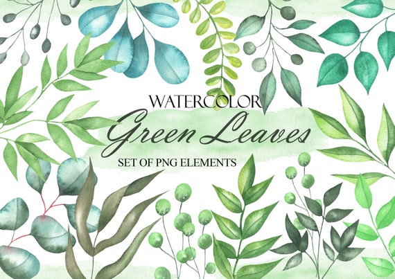 Watercolor Greenery Clipart Green Leaves Branches Foliage | Etsy
