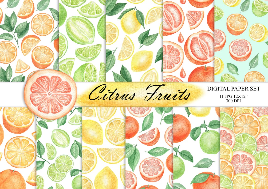Watercolor Citrus Fruits Digital Paper Lemon Lime Orange - Etsy
