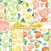 Watercolor Citrus Fruits Digital Paper Lemon Lime Orange - Etsy
