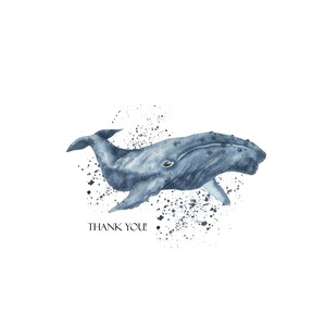 Whales Watercolor Clipart, Sea Animals Clip Art, Ocean Life, Underwater ...