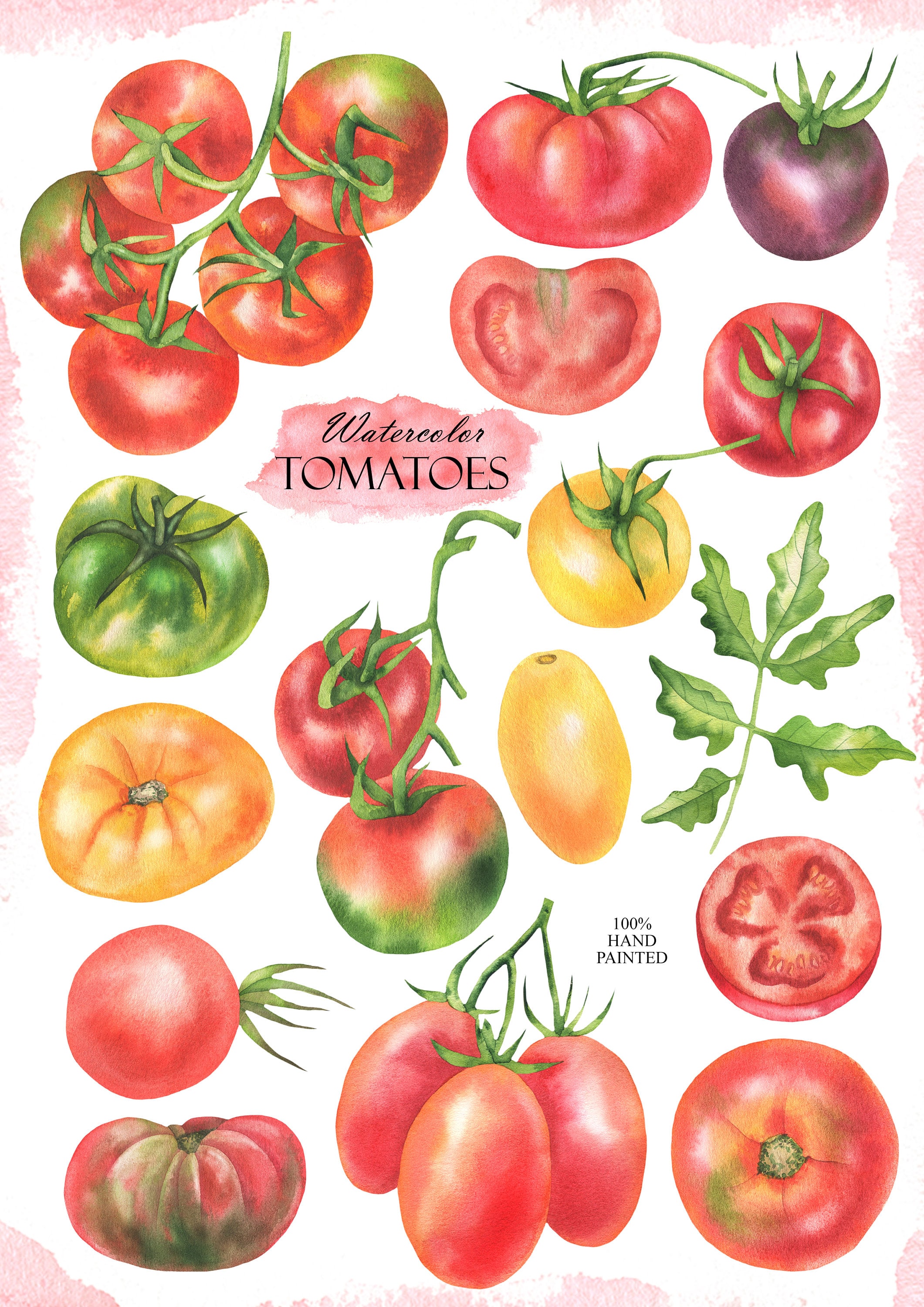 Watercolor Tomatoes Clipart Tomato Slices Clip Art Eco Farm - Etsy