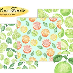Watercolor Citrus Fruits Digital Paper, Lemon, Lime, Orange, Grapefruit ...