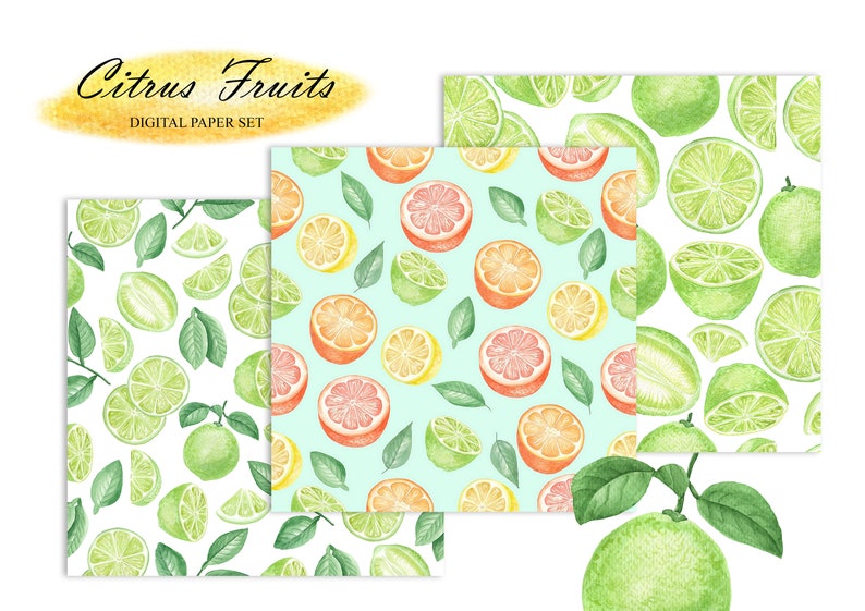 Watercolor Citrus Fruits Digital Paper Lemon Lime Orange - Etsy