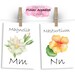 Watercolor Flower Alphabet ABC Card, Learning Letters, Printable ...