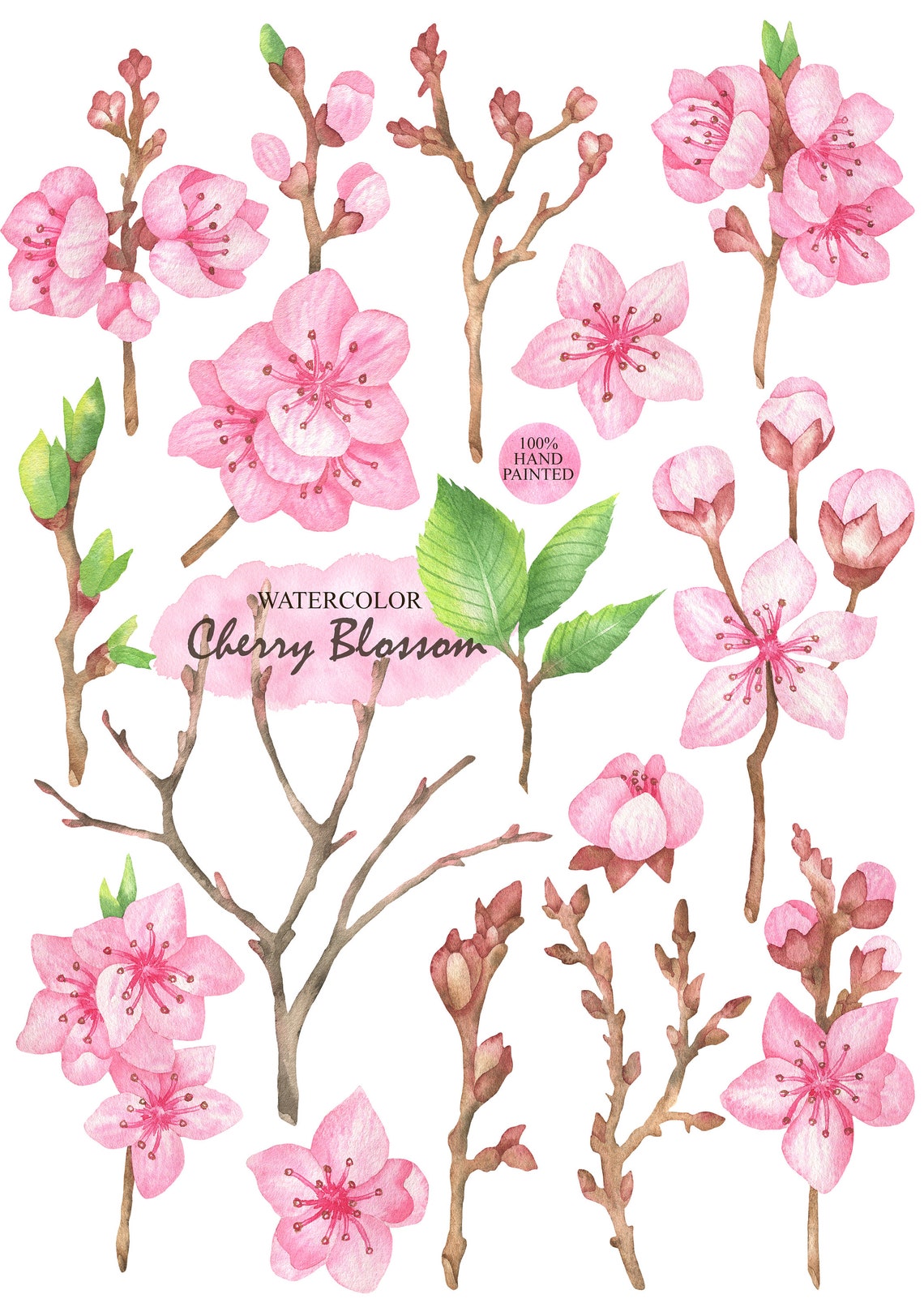 Cherry Blossom Clipart, Watercolor Pink Sakura Flowers, Spring Floral ...