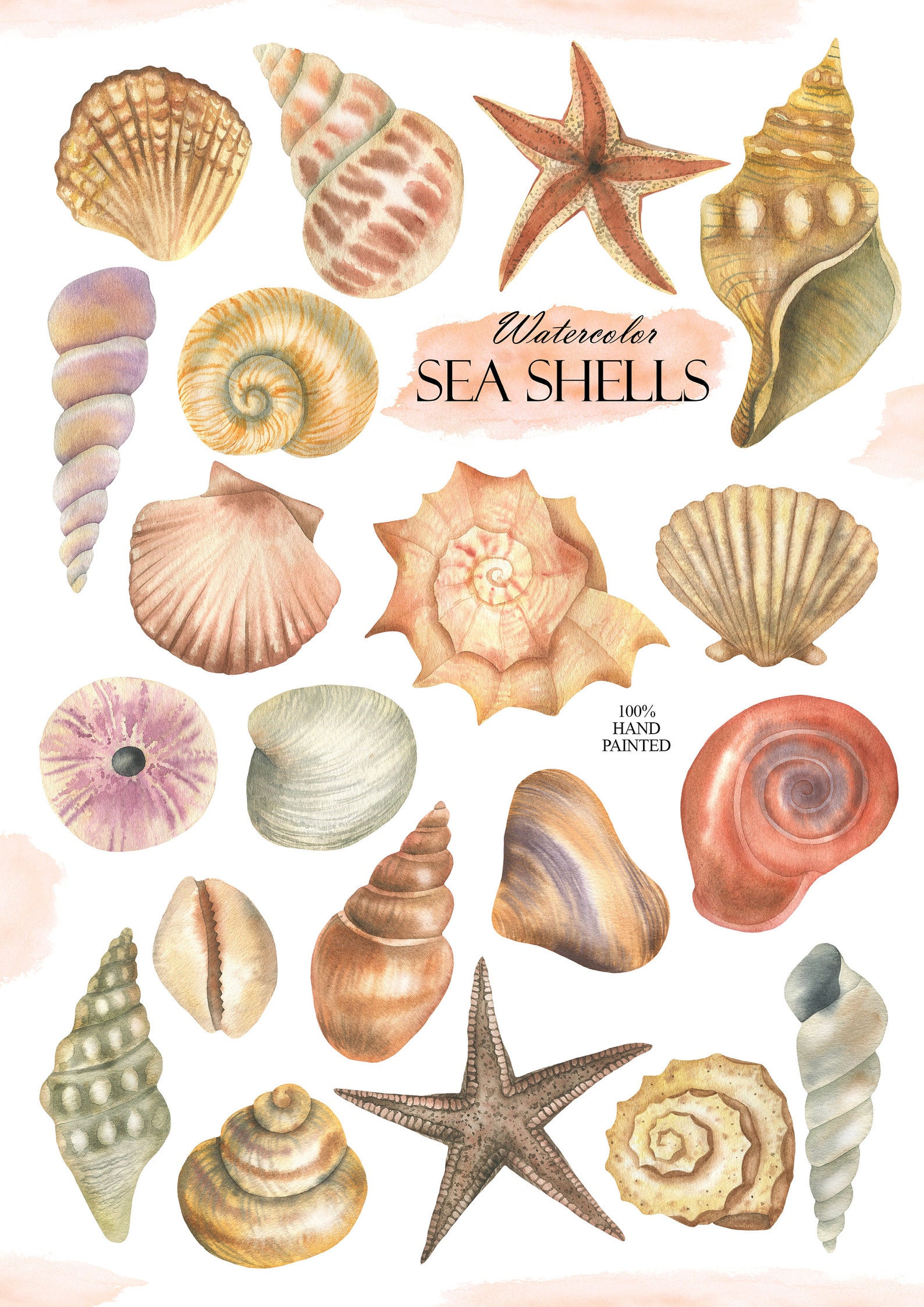 Watercolor Seashell Clipart Nautical Clip Art Sea Ocean Clip - Etsy