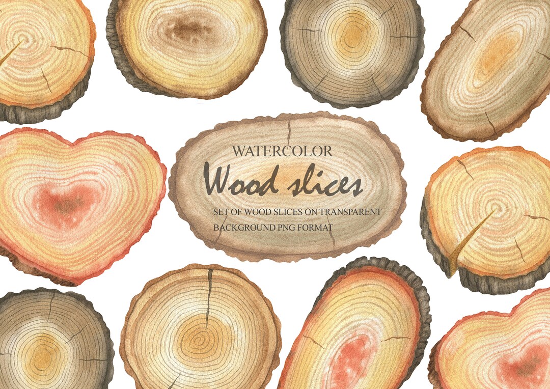 Watercolor Wood Slice Clipart, Spring Wooden Slices, Rustic Wedding ...