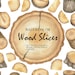 Watercolor Wood Slice Clipart, Tree Slices, Rustic Woodland Clipart ...