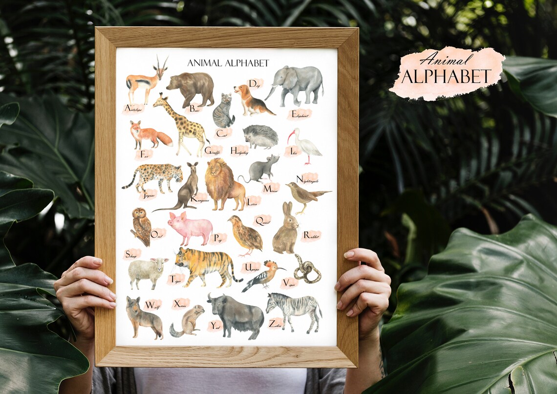 Animal Alphabet Watercolor Clipart, Animals A-Z, Alphabet Animals ...
