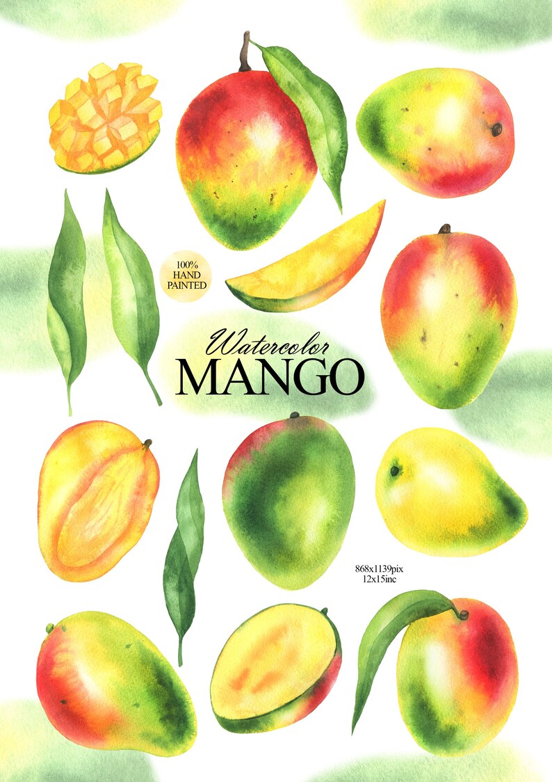 Mango Watercolor Clipart, Mango Clip Art, Slices of Mango, Fresh Fruit ...
