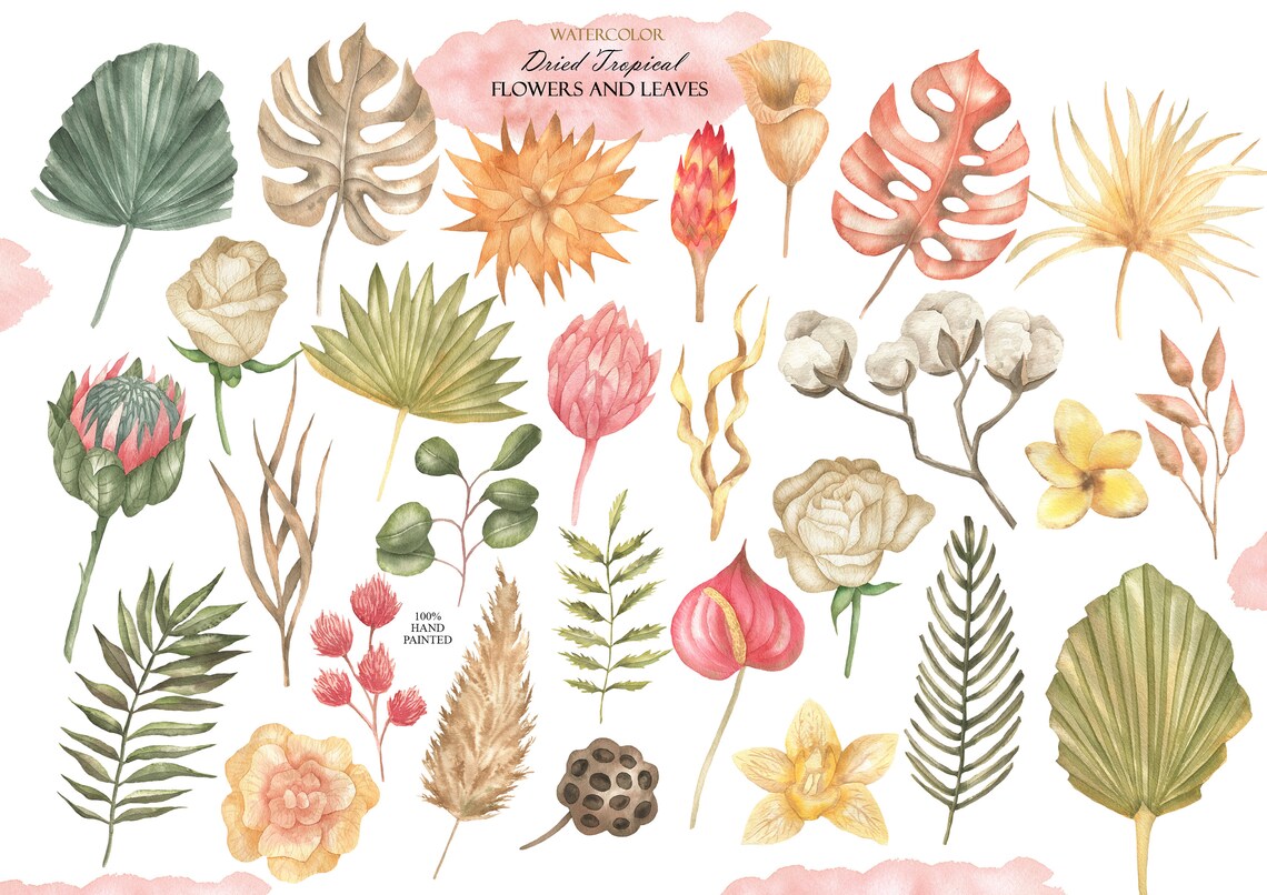 Watercolor Boho Floral Clipart Dried Tropical Flowers and - Etsy