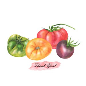 Watercolor Tomatoes Clipart, Tomato Slices Clip Art, Eco Farm ...