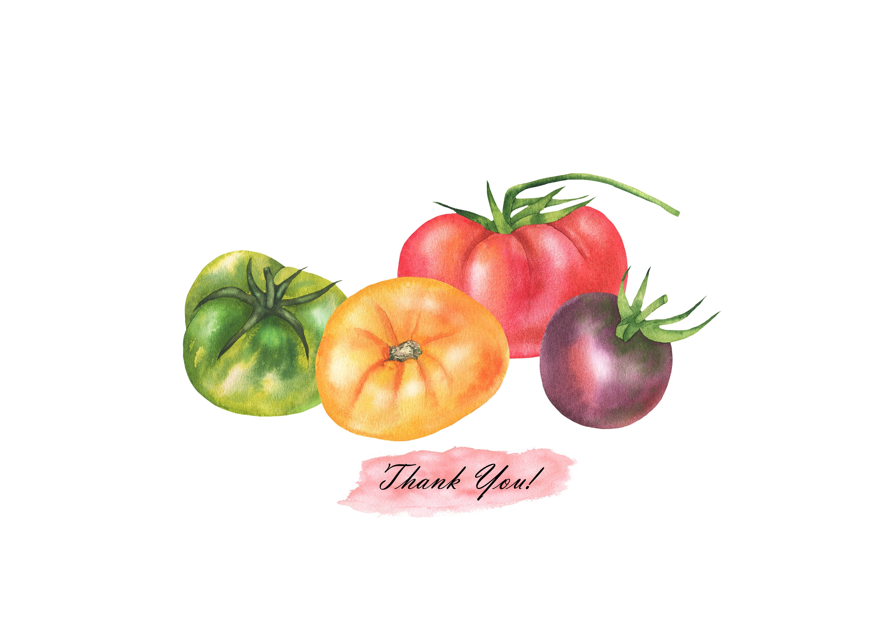 Watercolor Tomatoes Clipart Tomato Slices Clip Art Eco Farm - Etsy