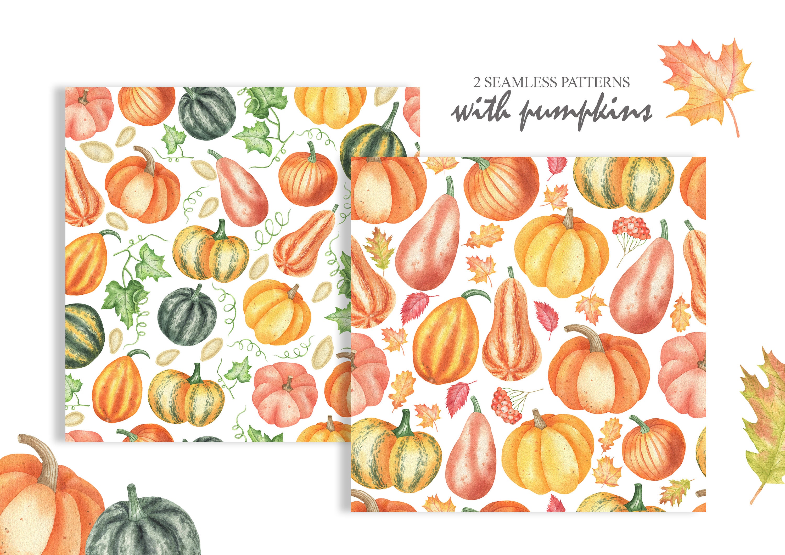 Fall Pumpkin PNG Clipart. Watercolor Autumn Orange and Green Pumpkins ...