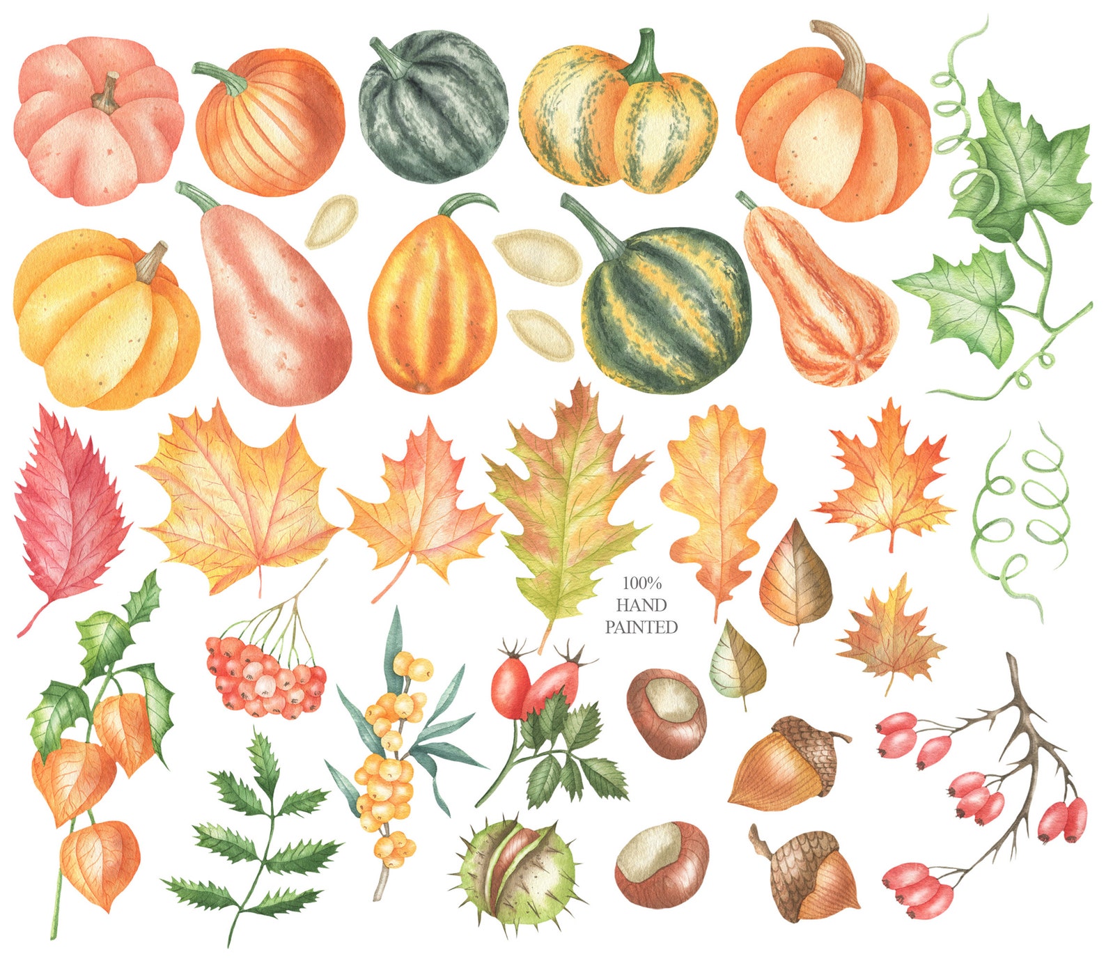 Fall Pumpkin PNG Clipart. Watercolor Autumn Orange and Green Pumpkins ...