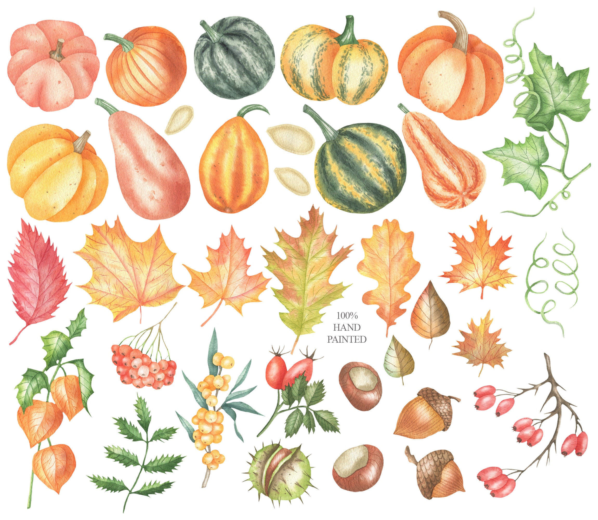 Fall Pumpkin PNG Clipart. Watercolor Autumn Orange and Green Pumpkins ...