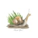 Watercolor Snail Clip Art, Colorful Snails Clipart, Garden Slug Clipart ...