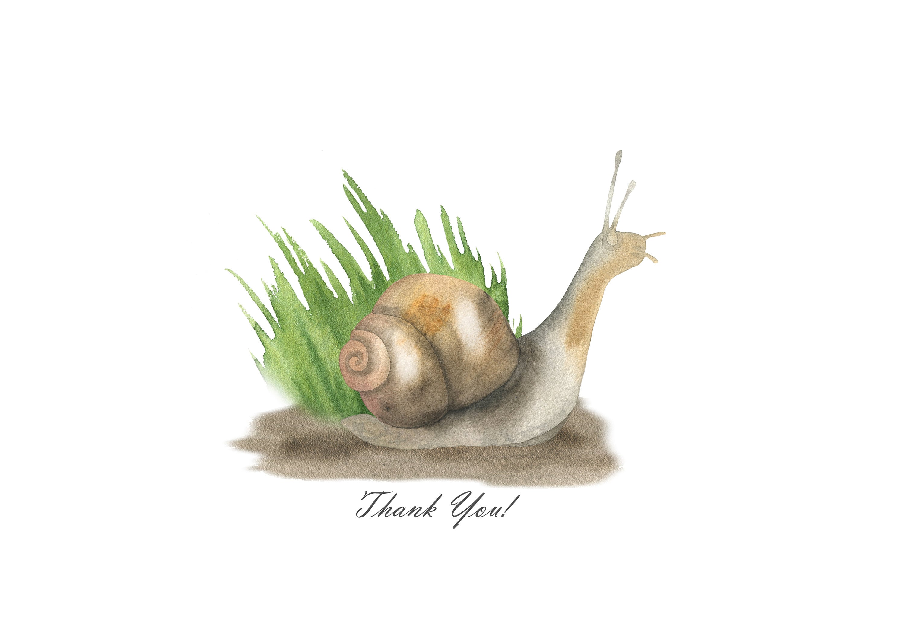 Watercolor Snail Clip Art, Colorful Snails Clipart, Garden Slug Clipart ...
