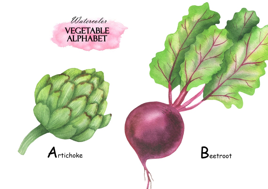 Watercolor Vegetable Alphabet Clipart, Vegetables ABC, Alphabet Poster ...