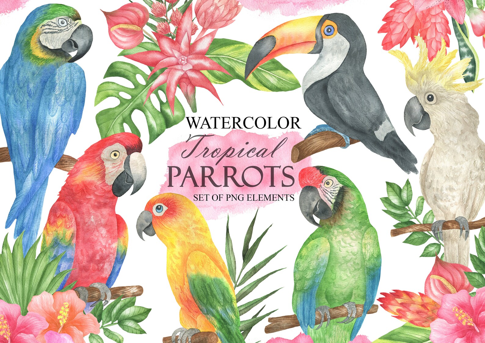 Watercolor Tropical Parrots Clipart, Summer Jungle Birds Toucan, Macaw ...