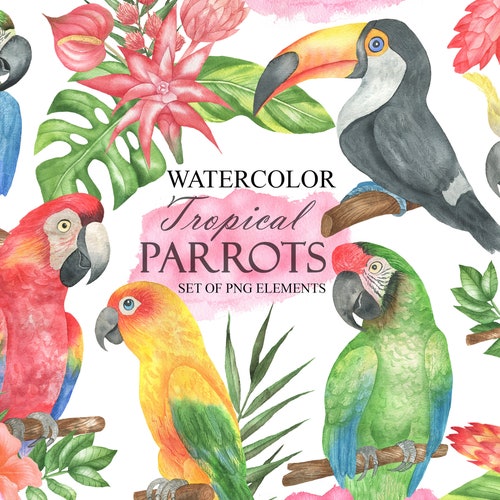 Watercolor Tropical Birds Clipart Tropical Summer Clipart - Etsy
