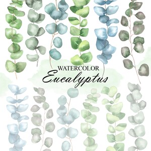 Watercolor Eucalyptus Leaves Clipart, Greenery Clip Art, Eucalyptus ...