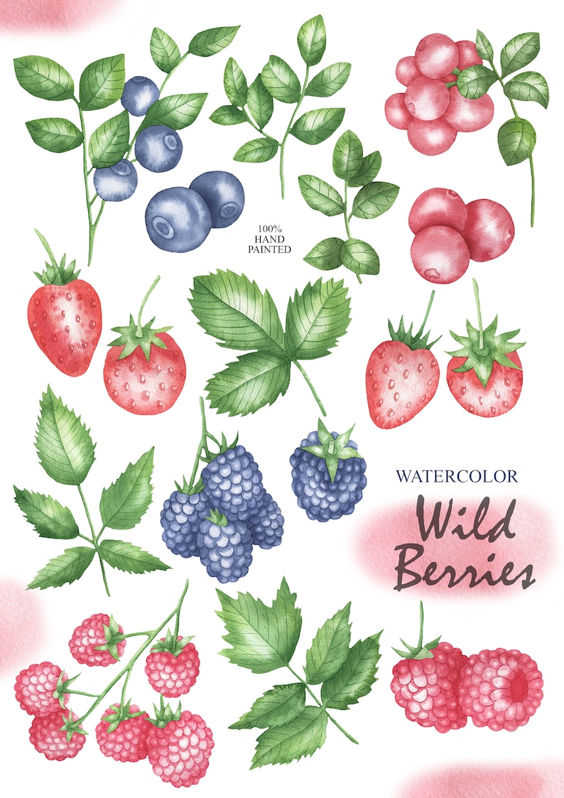 Watercolor Berries Clipart, Summer Fresh Blueberries, Strawberries ...