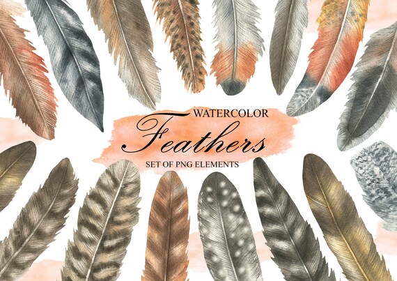 Feather Watercolor Clipart Exotic Boho Set Bohemian Clip | Etsy