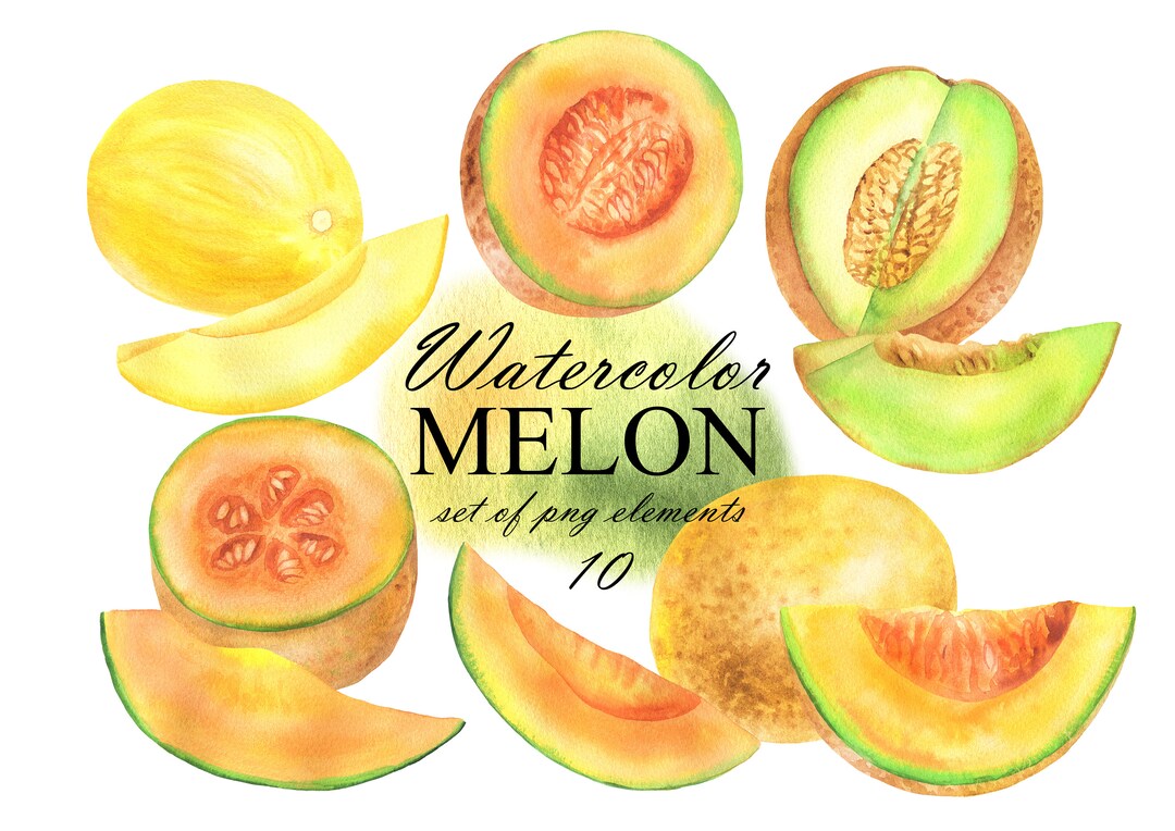 Watercolor Melon Clipart, Summer Fruit PNG Set (digital Download) - Etsy