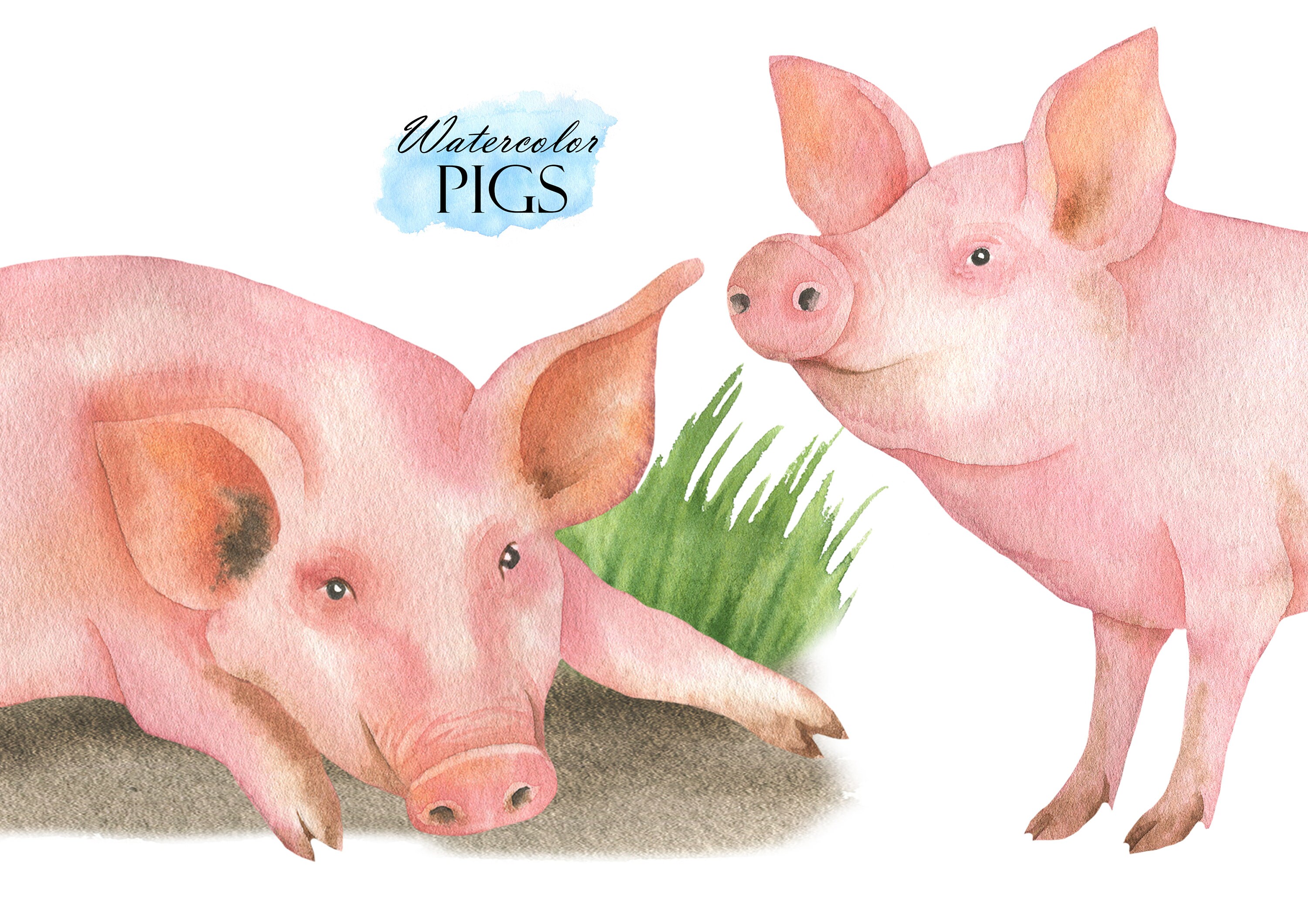 Watercolor Pigs Clipart, Pig and Piglets Clip Art, Pink Pig, Watercolor ...