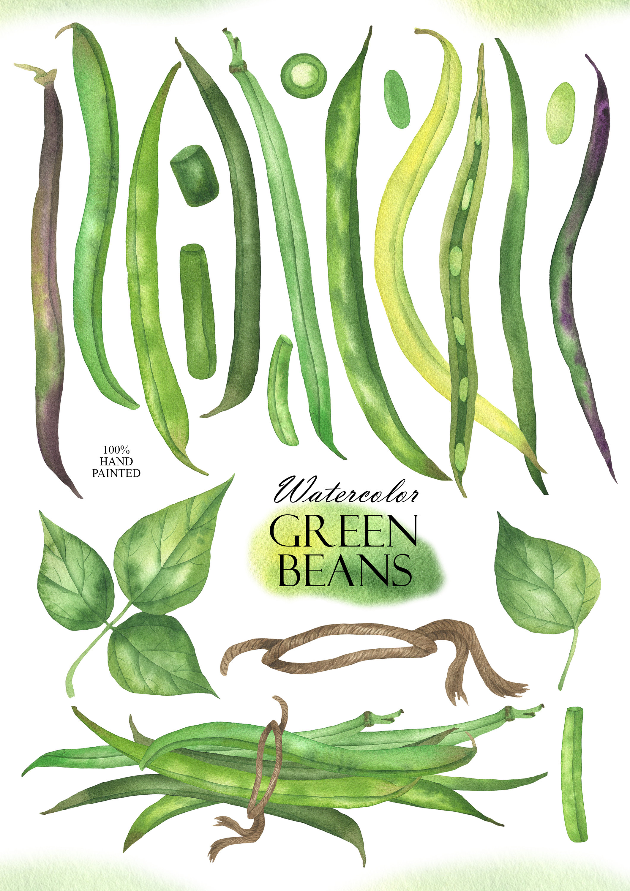 Watercolor Green Beans Clipart, Bean Clip Art, Fresh Vegetables, Culinary Clip Art, Food Clipart ...
