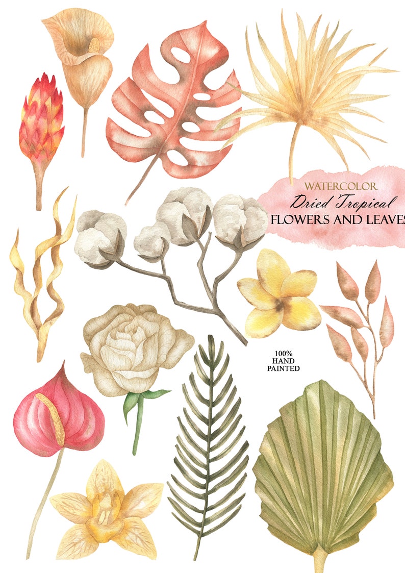 Watercolor Boho Floral Clipart, Dried Tropical Flowers and Leaves, Palm ...