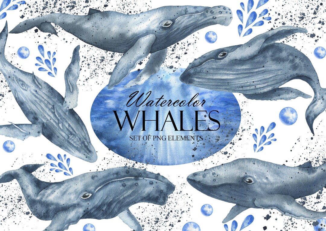 Whales Watercolor Clipart, Sea Animals Clip Art, Ocean Life, Underwater ...