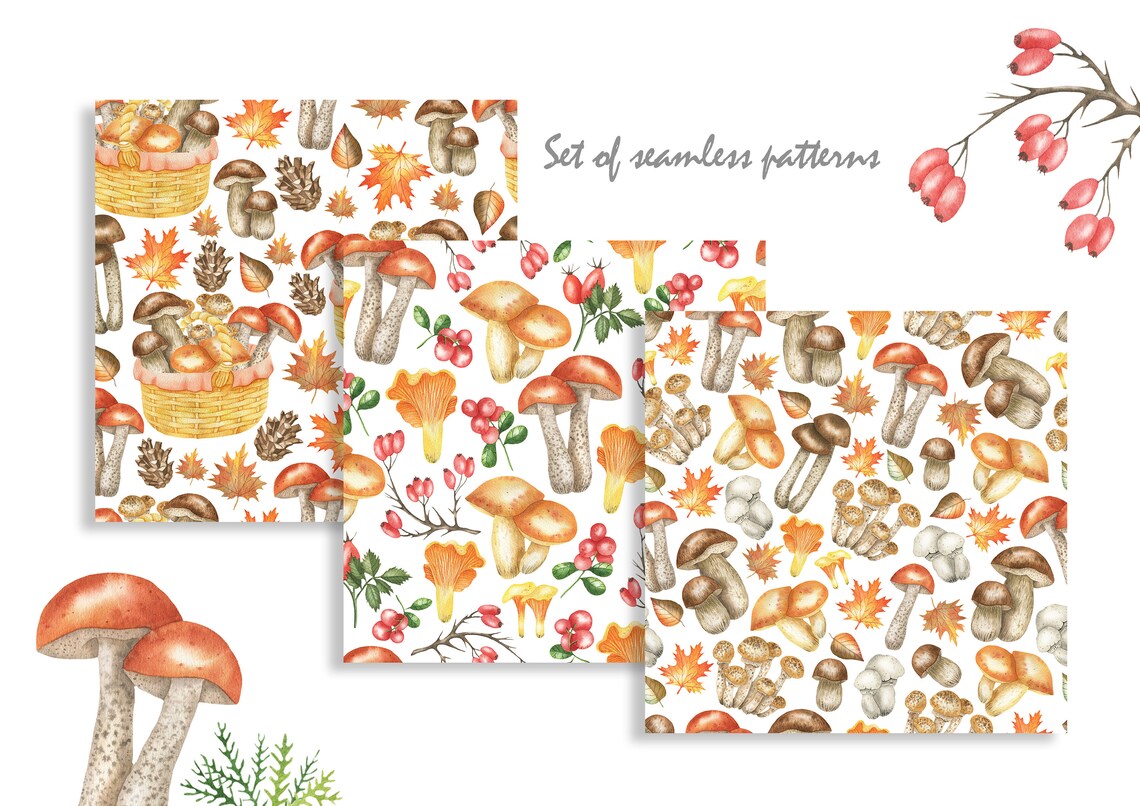 Watercolor Mushrooms Clipart, Woodland Edible Mushroom, Fall Forest ...