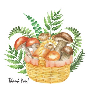 Watercolor Mushrooms Clipart, Woodland Edible Mushroom, Fall Forest ...