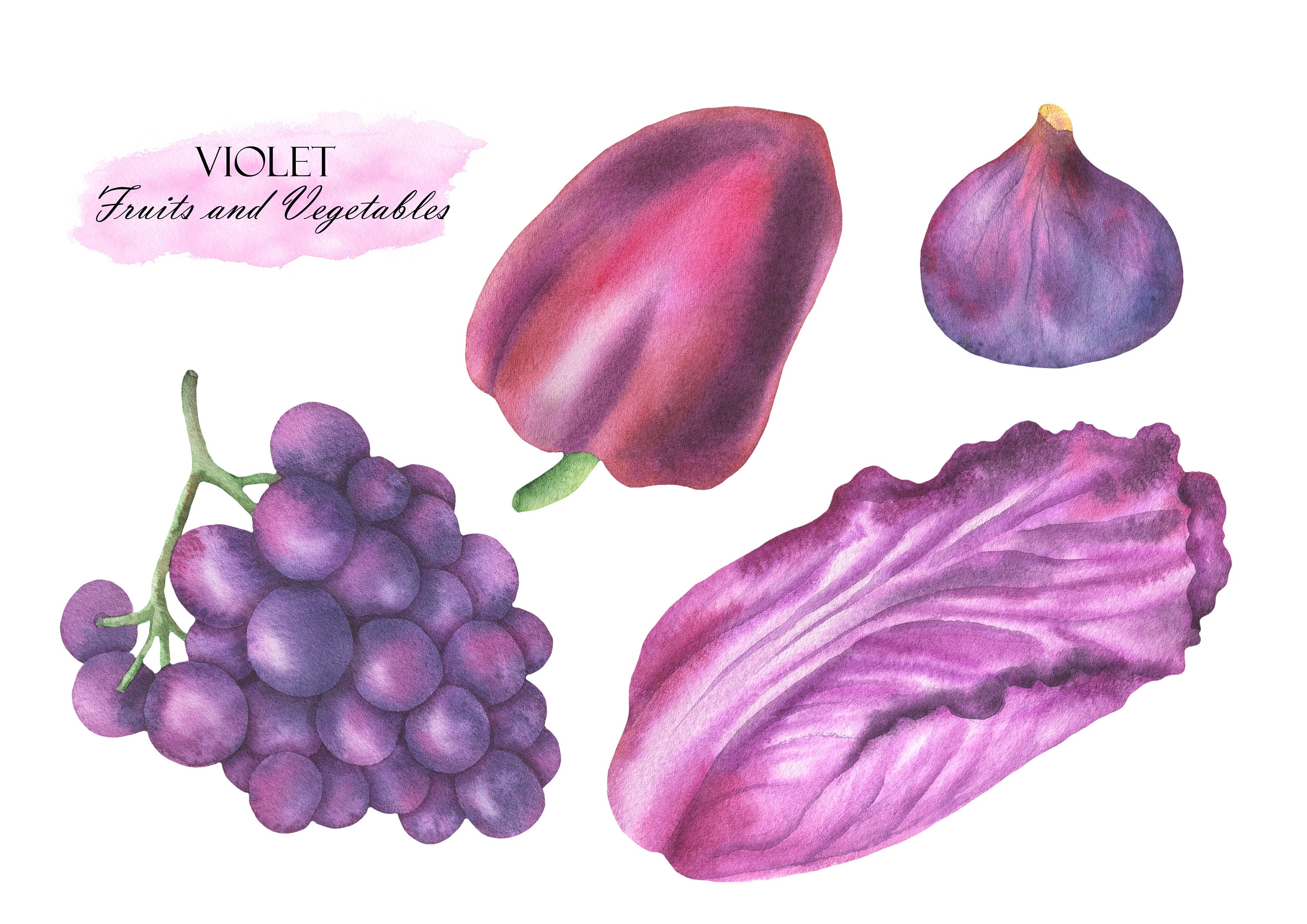 Watercolor Violet Fruit and Vegetables Clipart, Farm and Kitchen ...