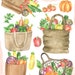 Watercolor Vegetable Clipart, Eco Farm Vegetable, Fresh Vegetables ...