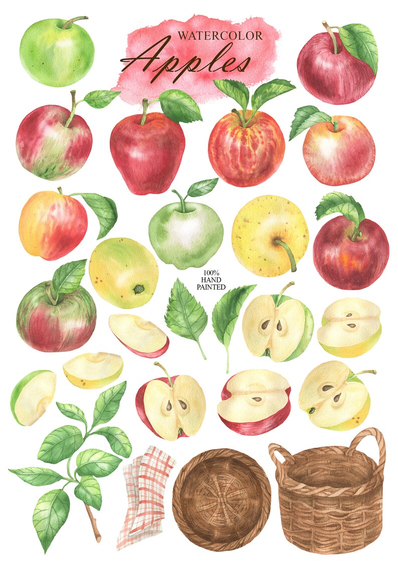 Watercolor Apples Clipart, Apple Clip Art Fruits, Slices of Apple ...