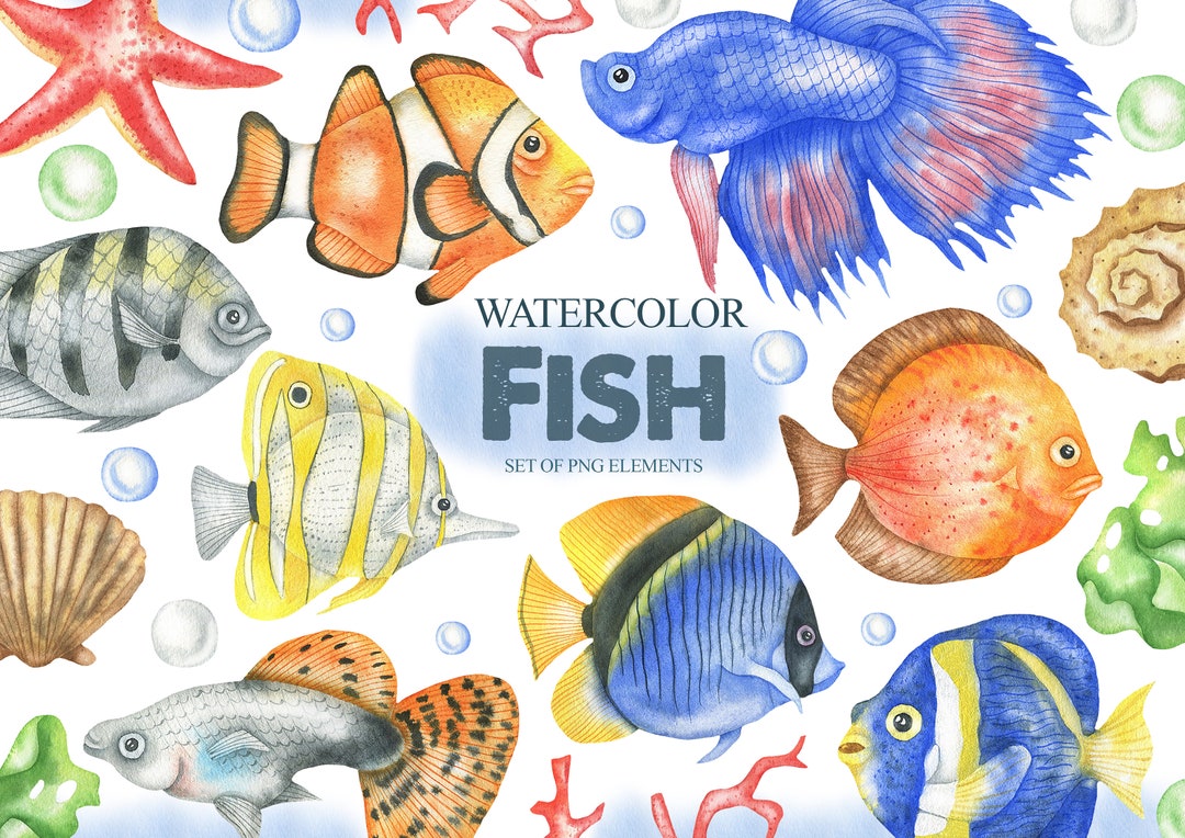 Watercolor Fish Clipart, Colorful Tropical Fish Clip Art, Sea Animals ...
