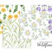 Wildflower Floral Digital Paper Pack, Watercolor Seamless Patterns of ...