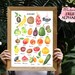 Watercolor Fruit Alphabet Clipart, Fruits ABC, Alphabet Poster ...