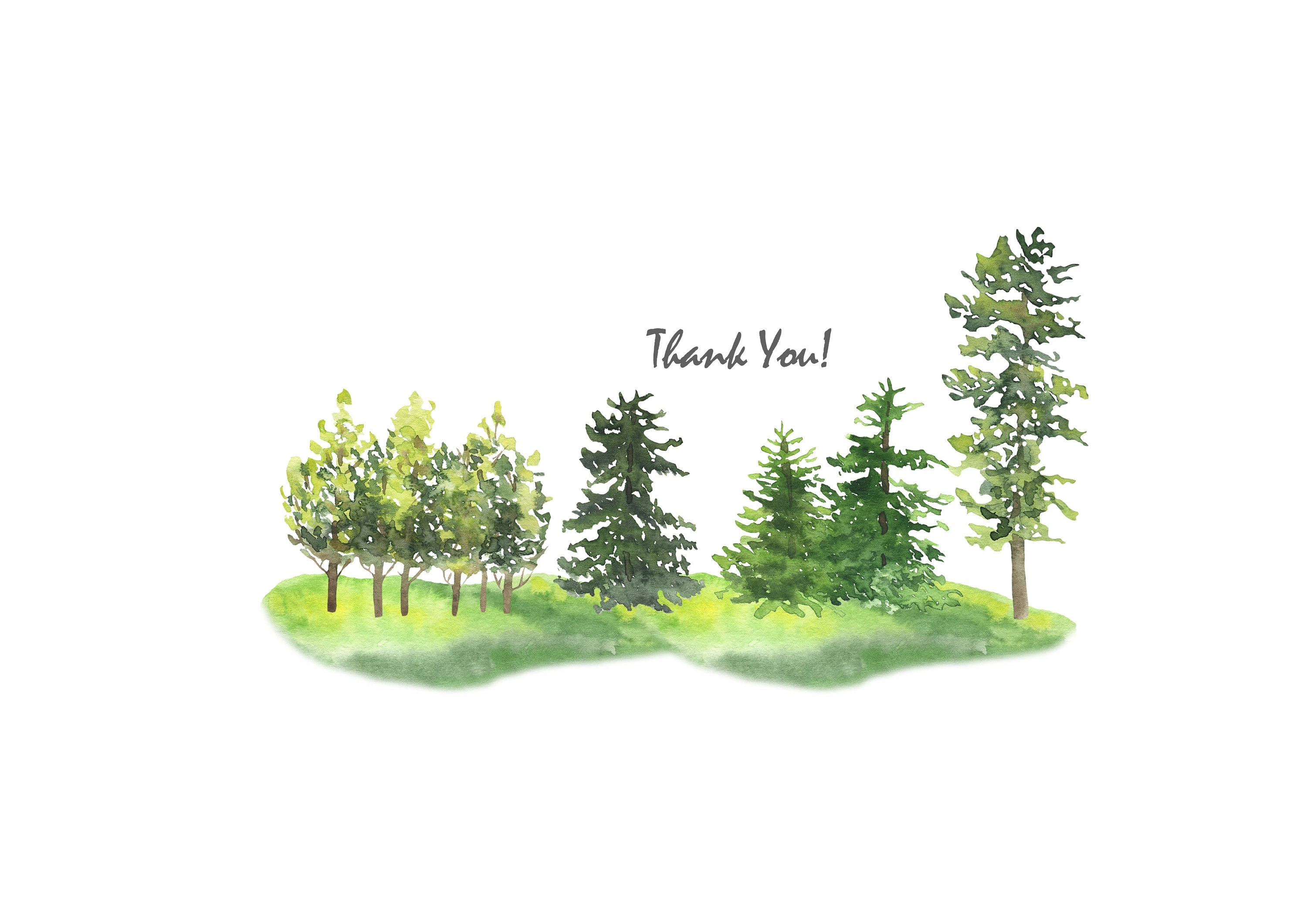 Watercolor Forest Tree Clipart Woodland Pine Trees - Etsy