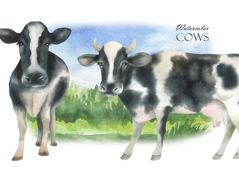 Watercolor Cow Clipart Cattle Clip Art Calf Clipart Dairy - Etsy
