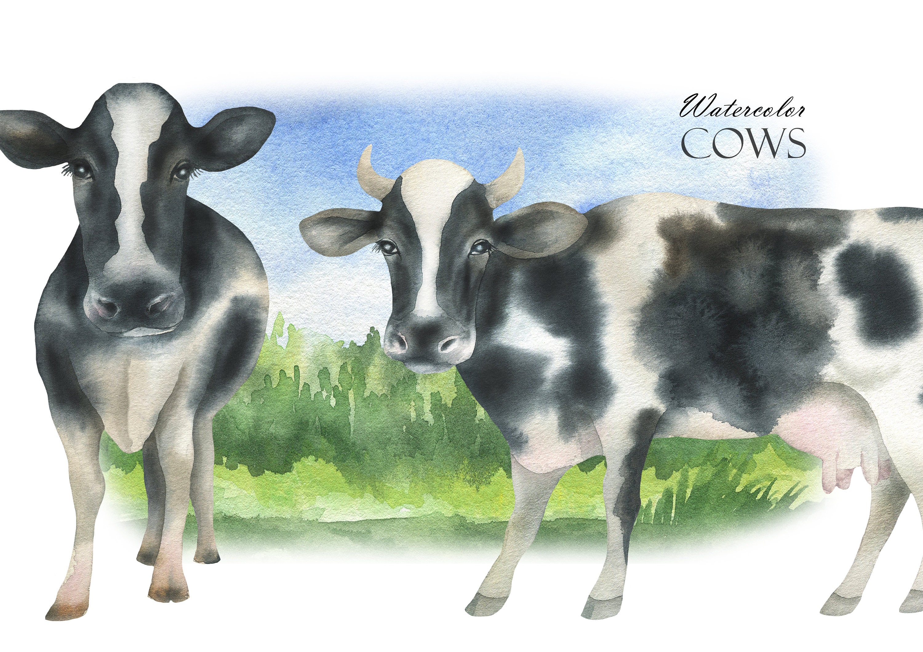 Watercolor Cow Clipart Cattle Clip Art Calf Clipart Dairy - Etsy