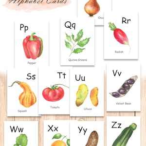Watercolor Vegetable Alphabet ABC Card, Learning Letters, Printable ...