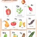 Watercolor Vegetable Alphabet ABC Card, Learning Letters, Printable ...