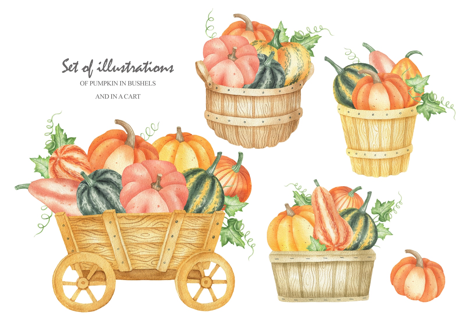 Fall Pumpkin PNG Clipart. Watercolor Autumn Orange and Green Pumpkins ...