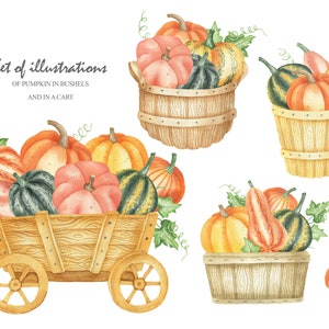 Fall Pumpkin PNG Clipart. Watercolor Autumn Orange and Green Pumpkins ...